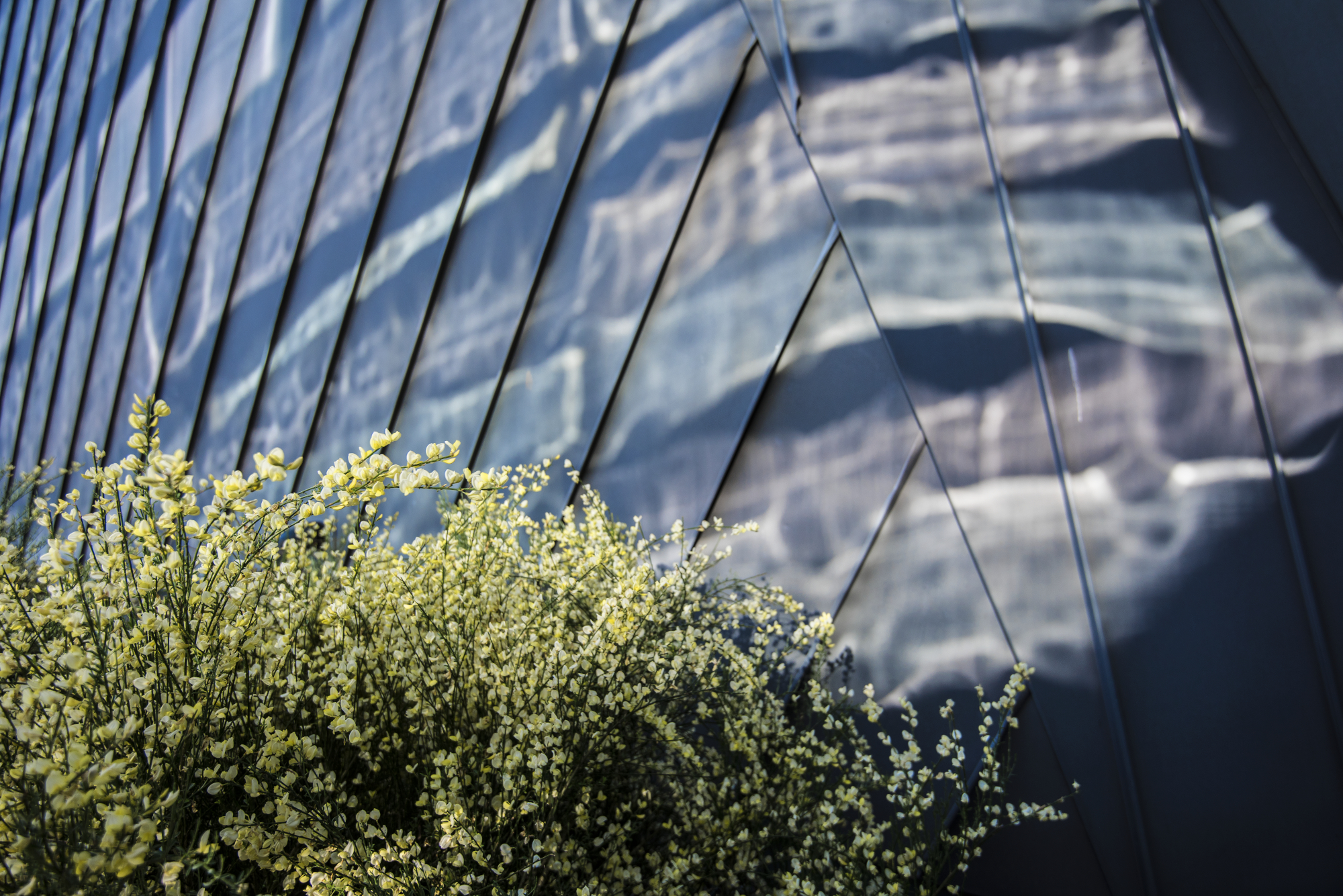 Dalton Cumbrian Facility | National Nuclear User Facility